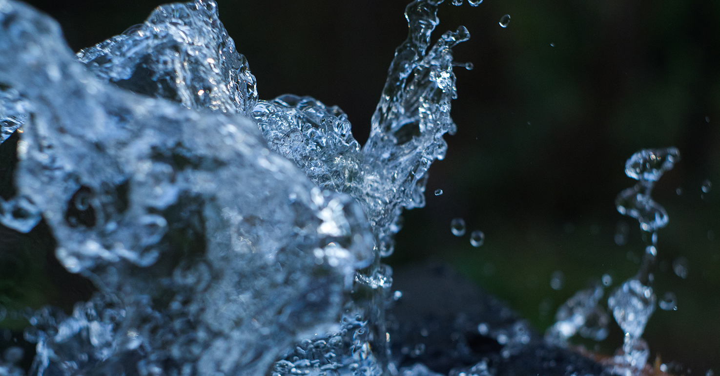 Daupler | Local water utilities trialing W-Lab technologies